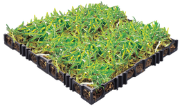Atlantis - Turf & Gravel Cell | The Landscape Store